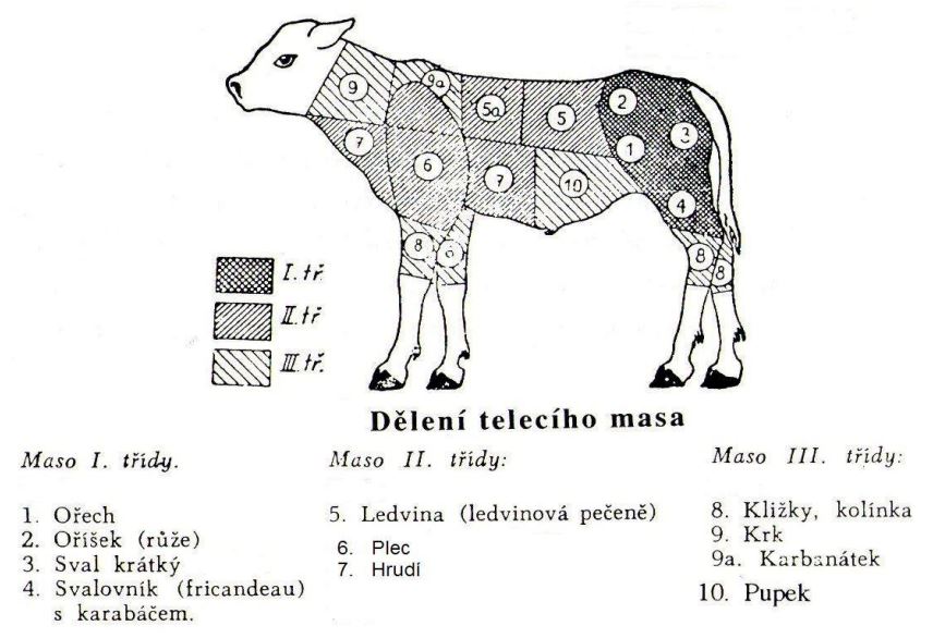 Telecí maso - Stolničení online